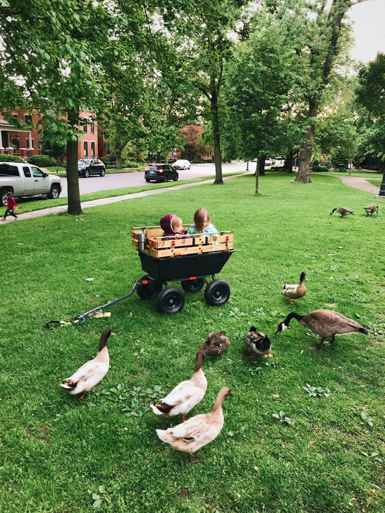 Dad Wagon Field Photos | Nightfox.es